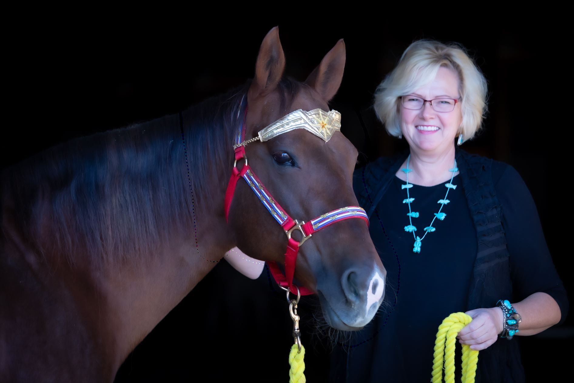 Cheryl Pierce - Touched by a Horse